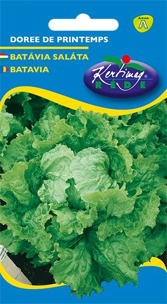 Batávia saláta a Saláták, levélzöldségek kategóriánkban